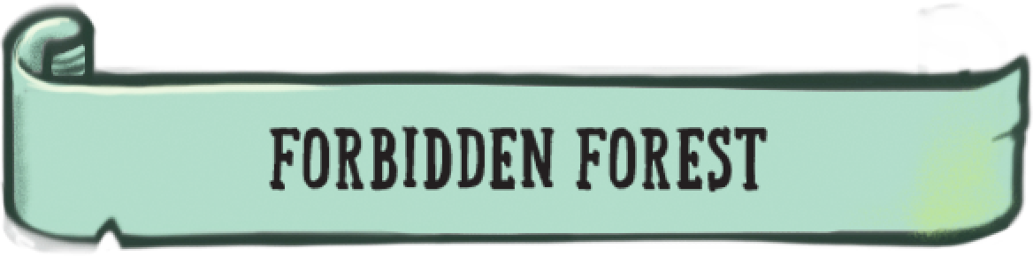 Explore Hogwarts Castle and its grounds - Starting Harry Potter