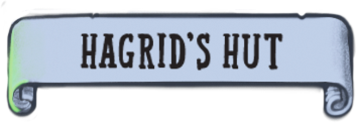 Explore Hogwarts Castle and its grounds - Starting Harry Potter